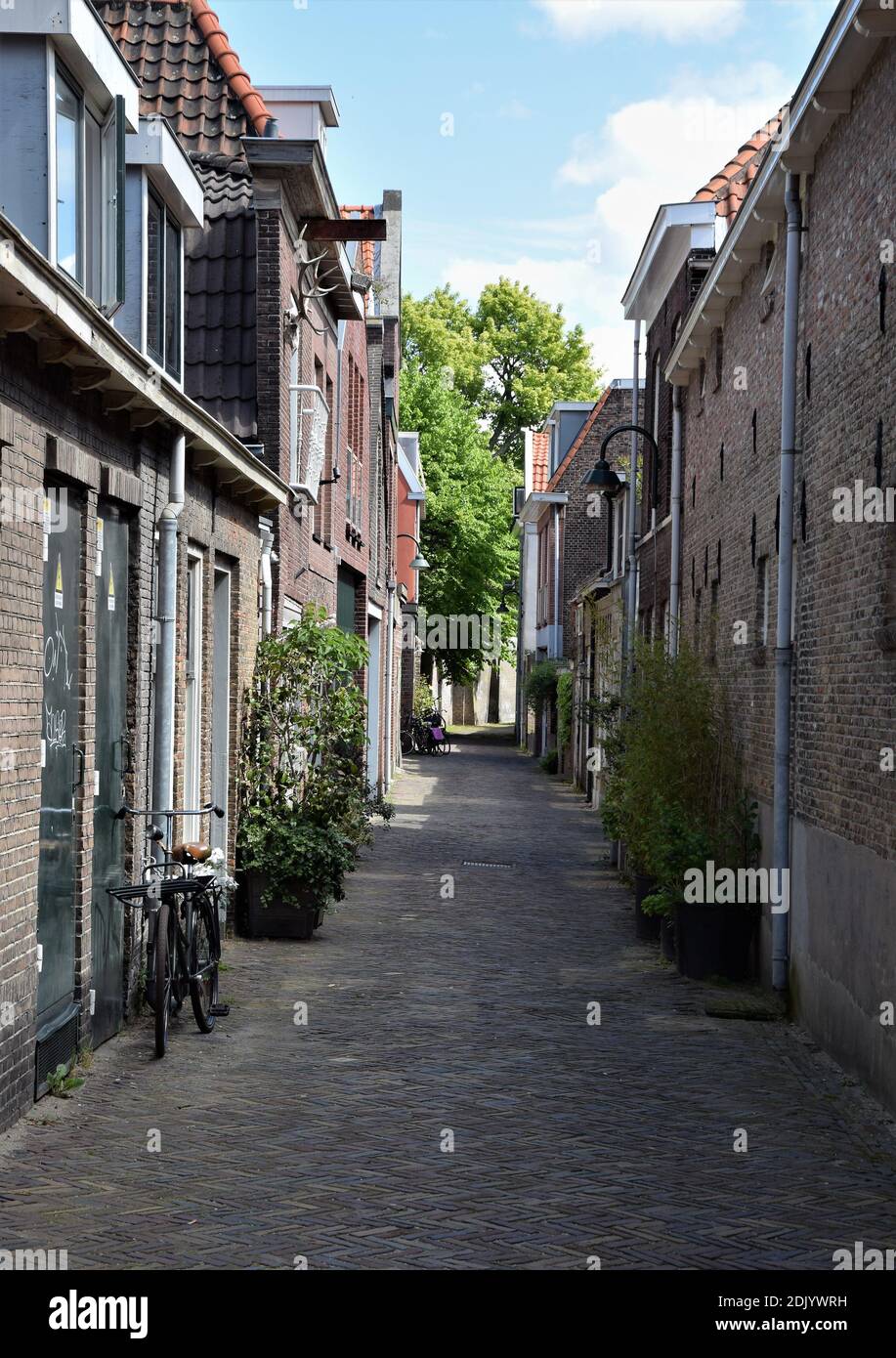 Long narrow flag hi-res stock photography and images - Alamy