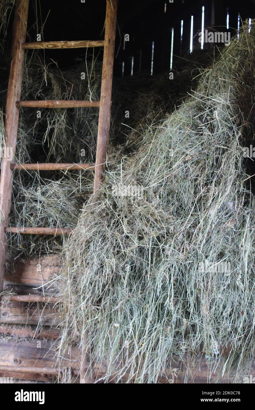 Ladder beams hi-res stock photography and images - Alamy