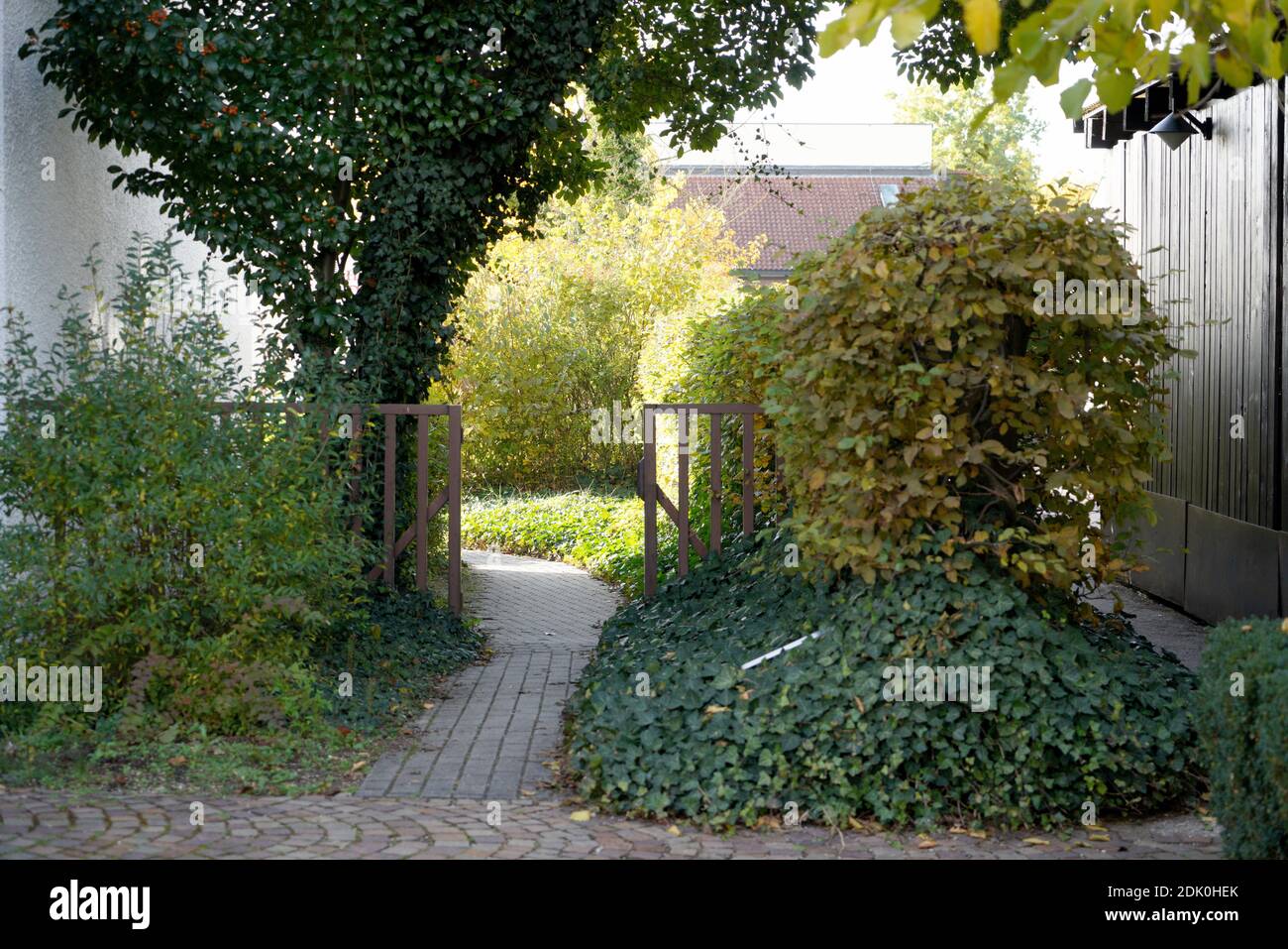 A view of a narrow pathway with trees and greenery Stock Photo - Alamy