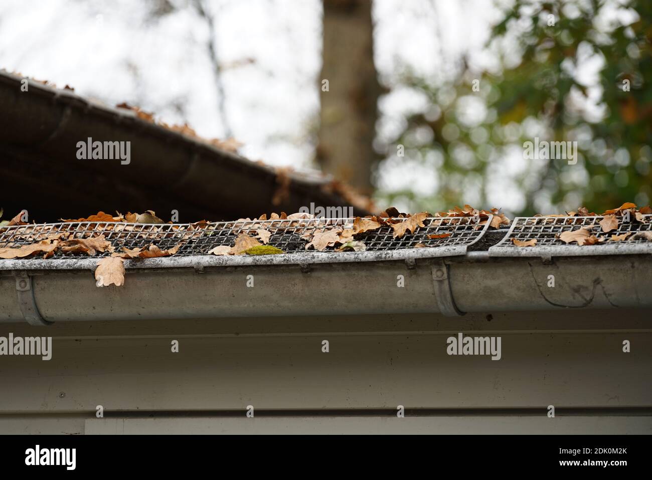 A closeup shot of leaves on a rain gutter Stock Photo - Alamy