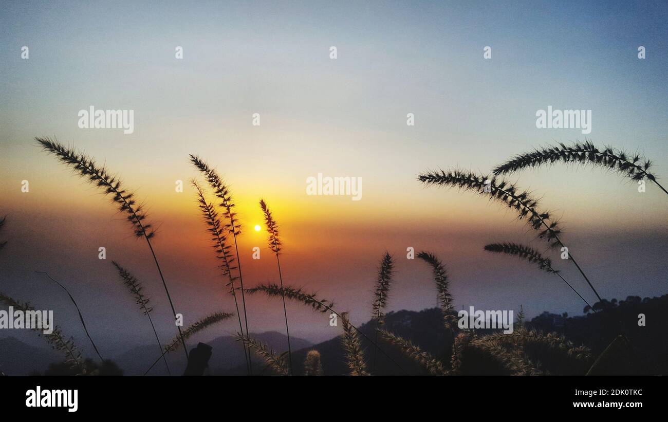 Kasauli High Resolution Stock Photography and Images - Alamy