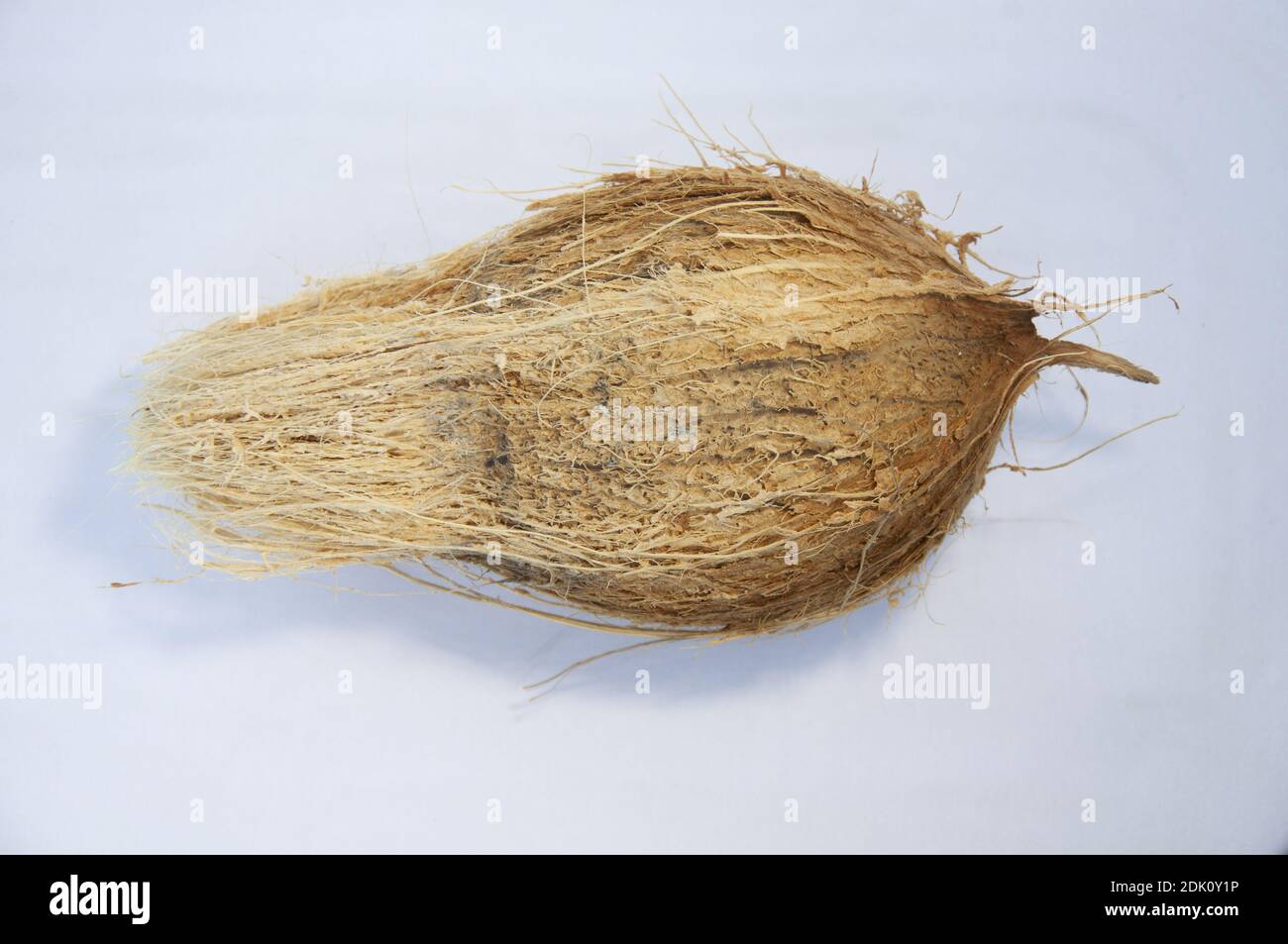 A top view of a fresh and natural coconut on a white a surface Stock ...