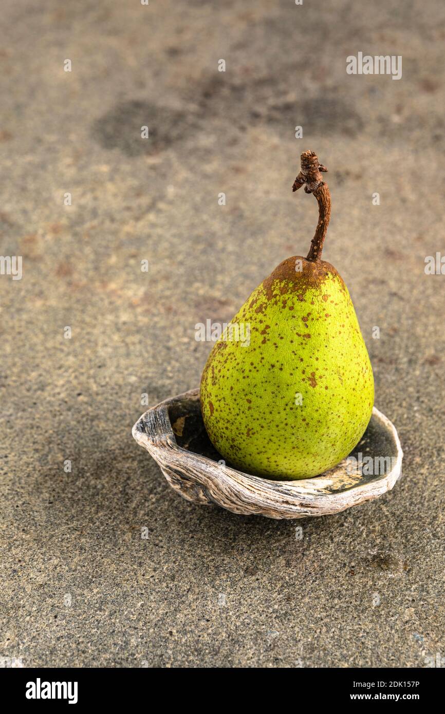 Pear in a shell as a bowl, still life Stock Photo - Alamy