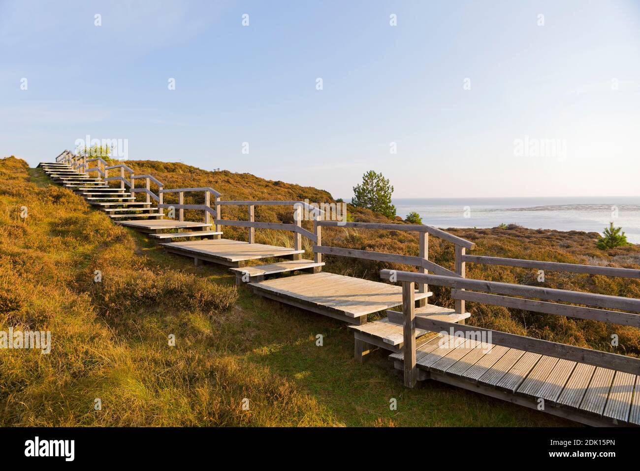 Wooden stairs in the Braderuper Heide, Sylt, Schleswig-Holstein ...