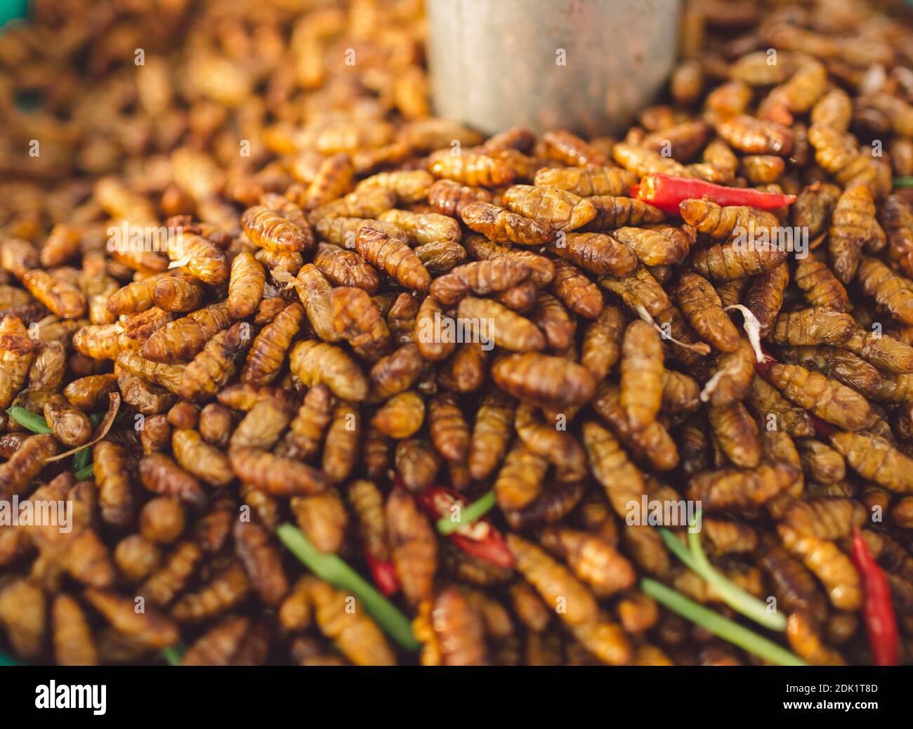 Food of the silkworm hi-res stock photography and images - Alamy