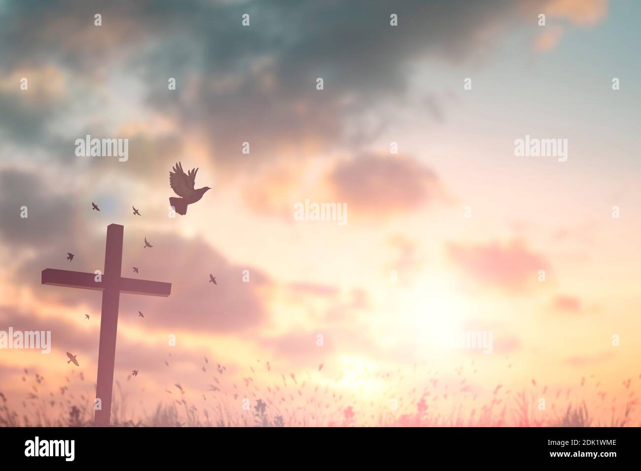 Happy man rise hand on morning view. Christian inspire praise God on ...