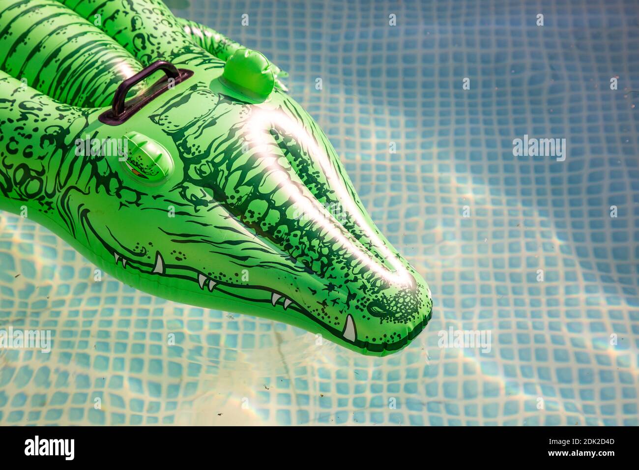 Swimming with inflatable crocodile hi-res stock photography and images ...