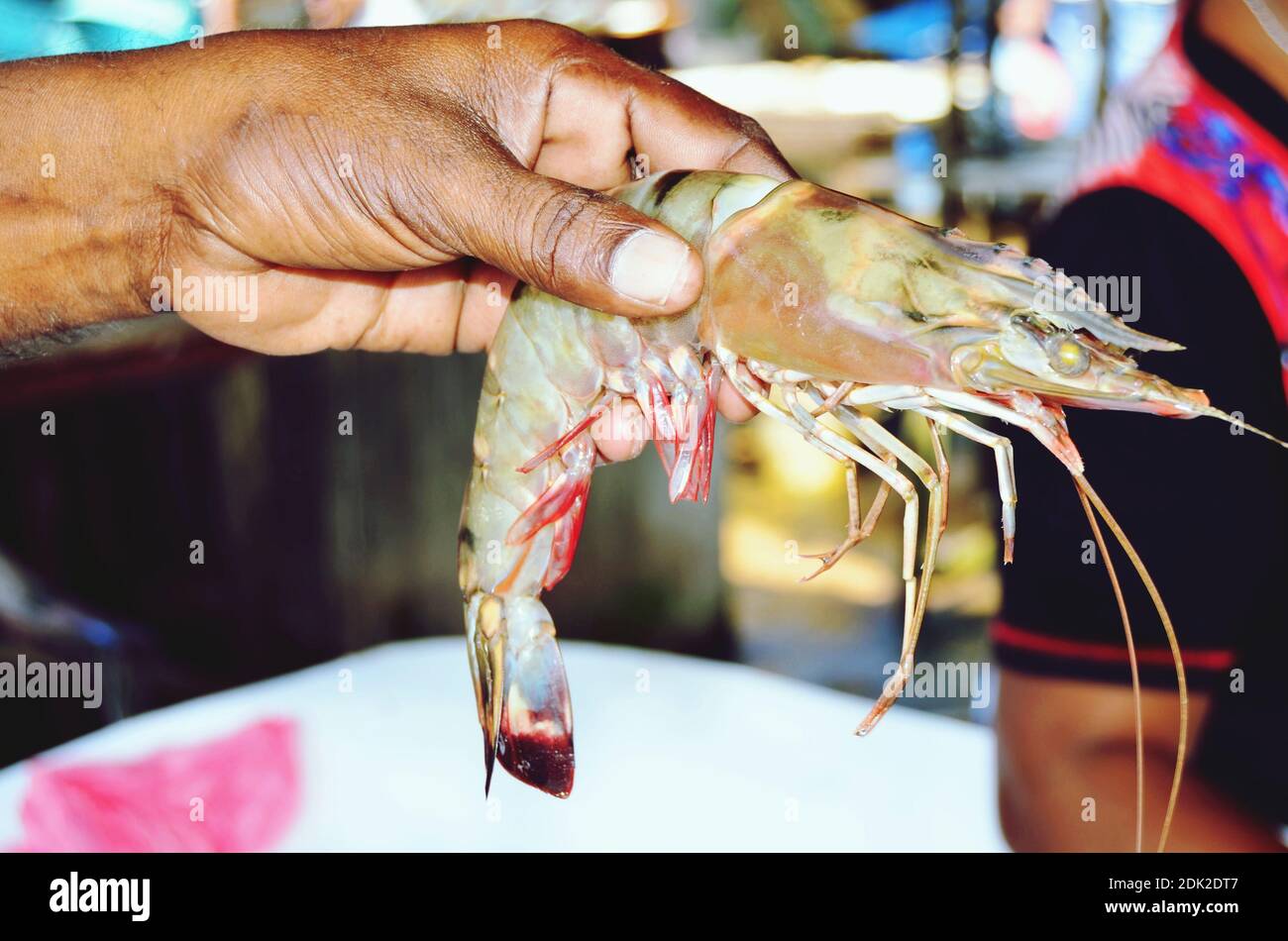 Fish hook finger hi-res stock photography and images - Alamy