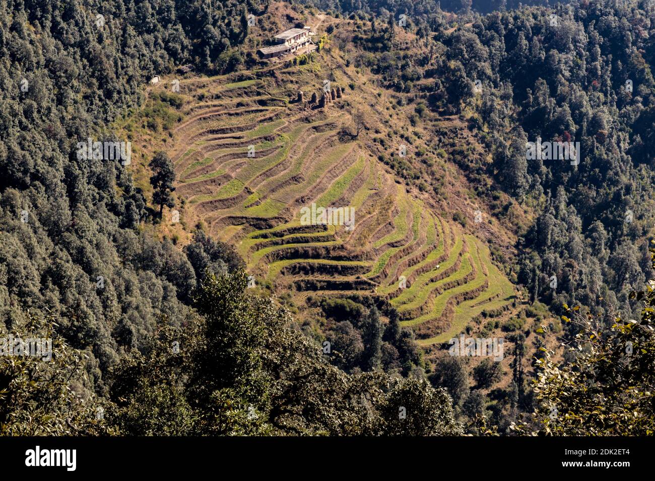 India step farming hi-res stock photography and images - Alamy