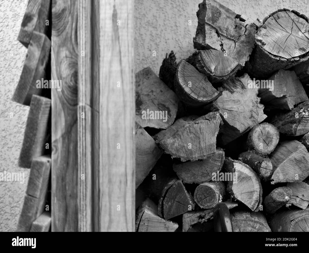 Forest deforestation Black and White Stock Photos & Images - Alamy