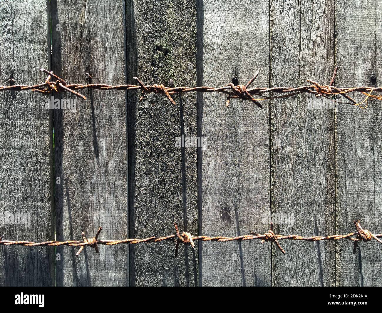 Tree barbed wire trunk hi-res stock photography and images - Alamy