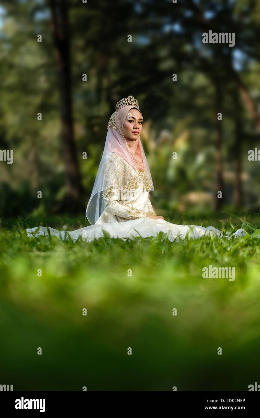 Indian crown grass hi-res stock photography and images - Alamy