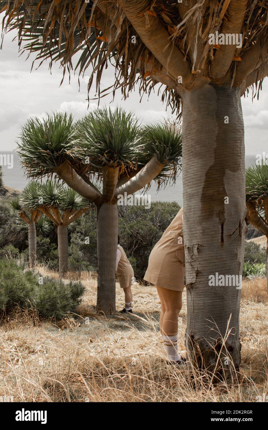 Women Hiding Behind Trees Stock Photo - Alamy