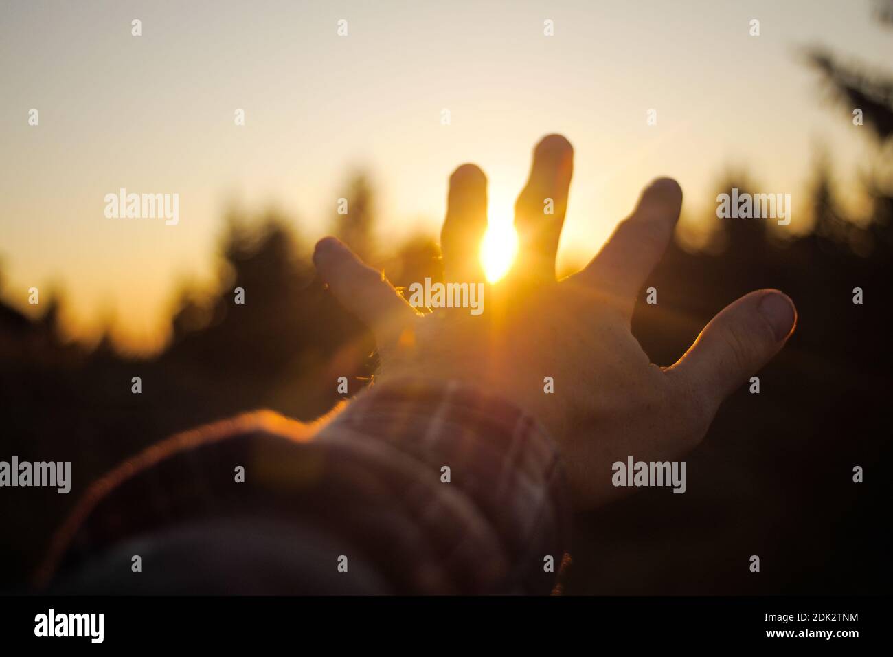 Hand Waving Goodbye High Resolution Stock Photography and Images - Alamy