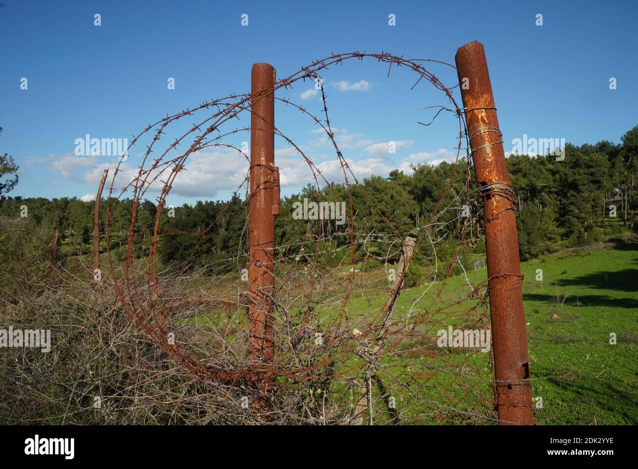 Metal thorns hi-res stock photography and images - Alamy