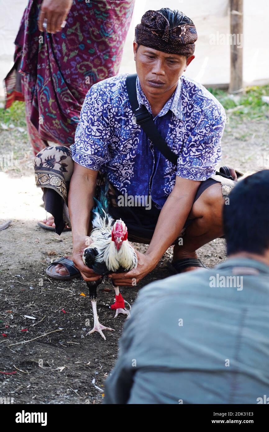 Man Holding Rooster High Resolution Stock Photography and Images - Alamy