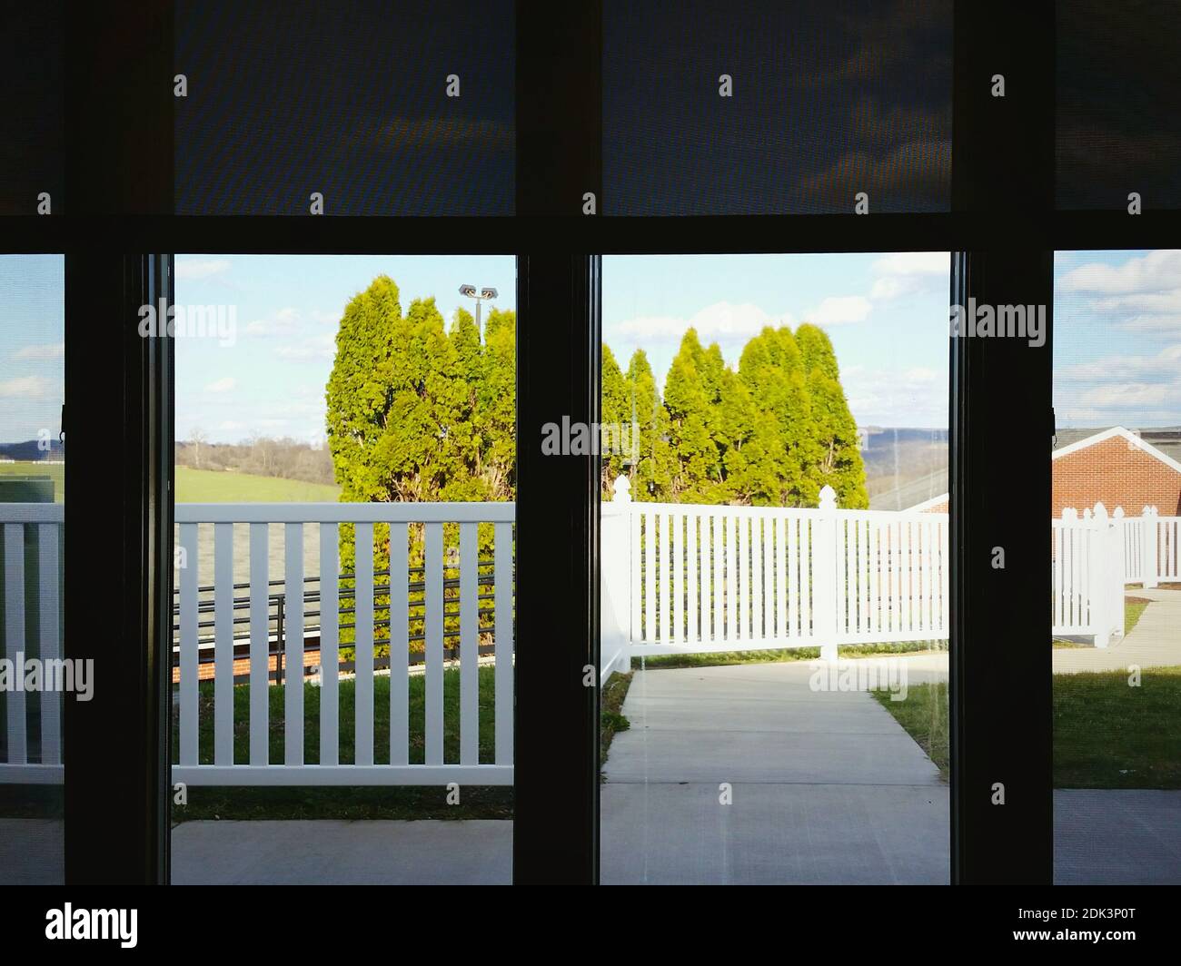 Trees And Plants Seen Through Window Of Building Stock Photo - Alamy