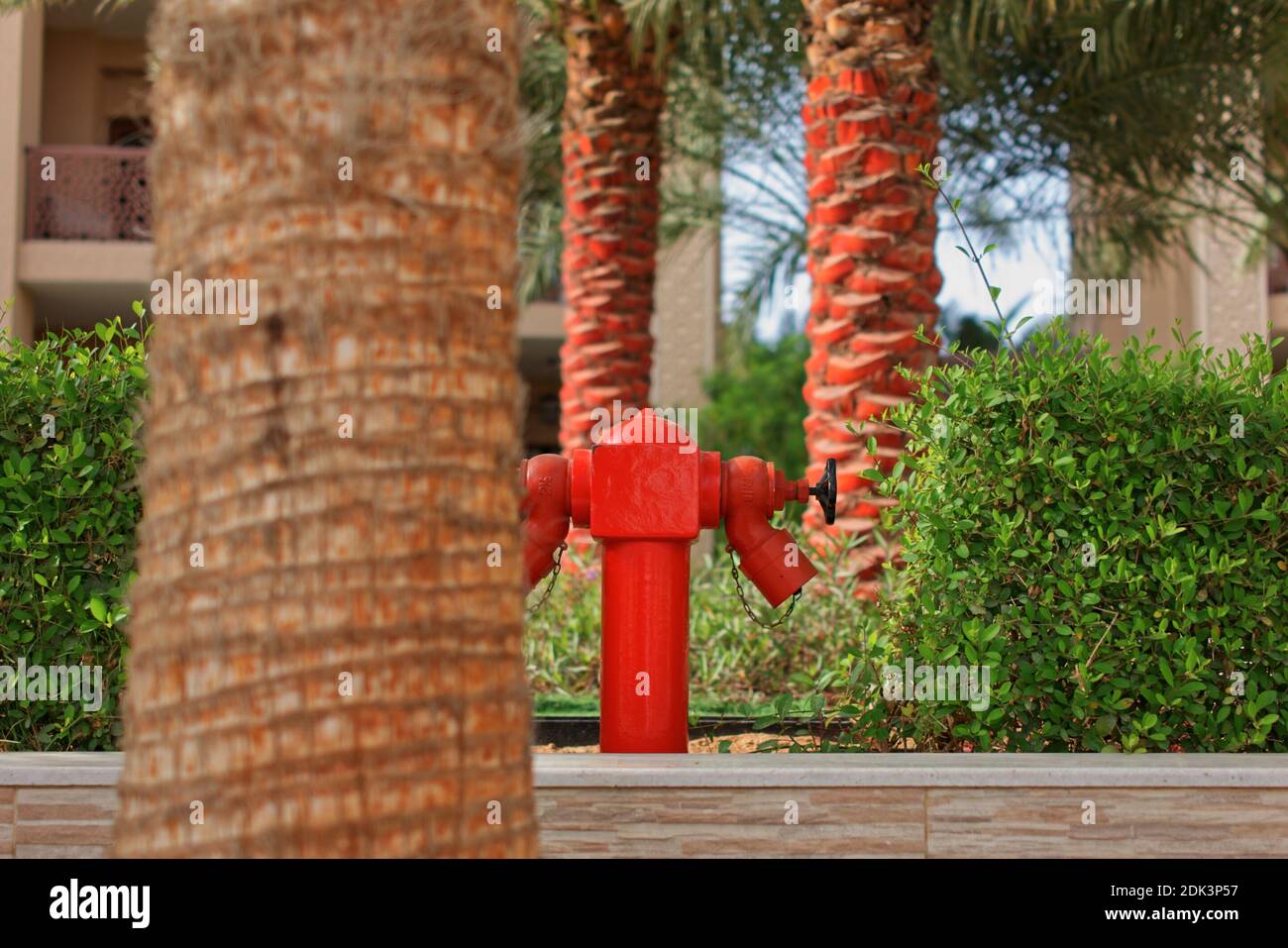 Fire Hydrant With Tree High Resolution Stock Photography and Images - Alamy