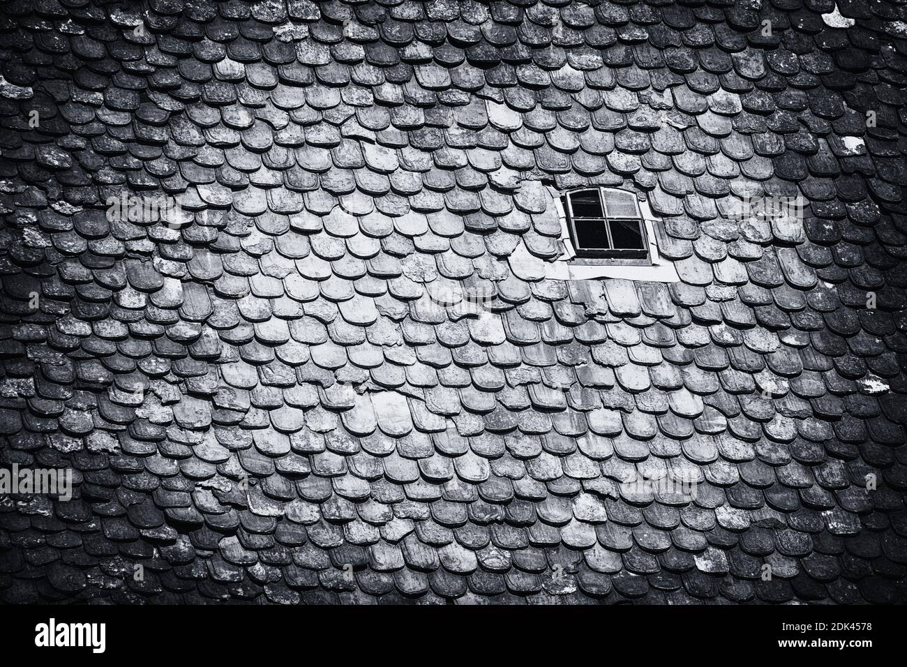 Beaver Tail Tile High Resolution Stock Photography and Images - Alamy