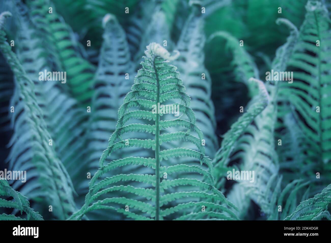 3d environment day hi-res stock photography and images - Alamy
