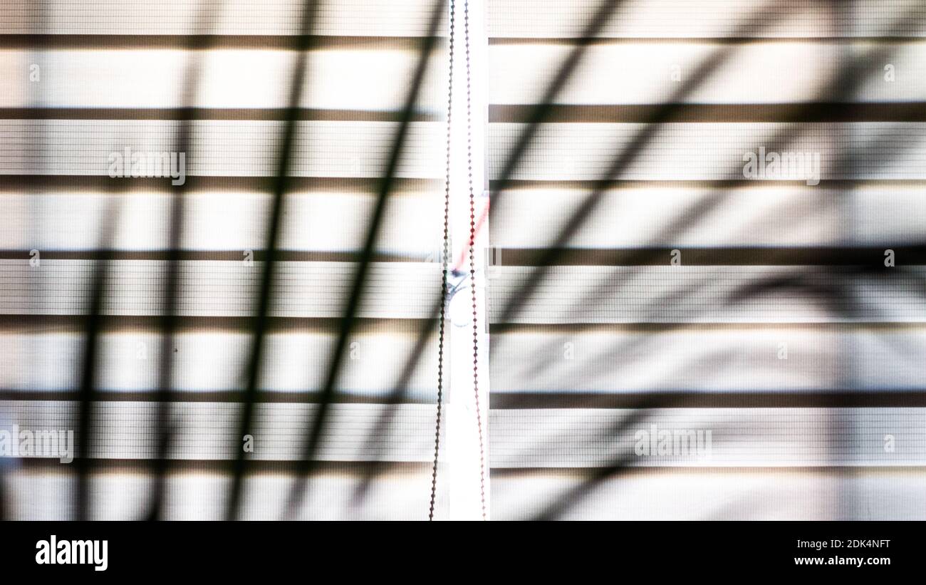 Peak through curtain hi-res stock photography and images - Alamy