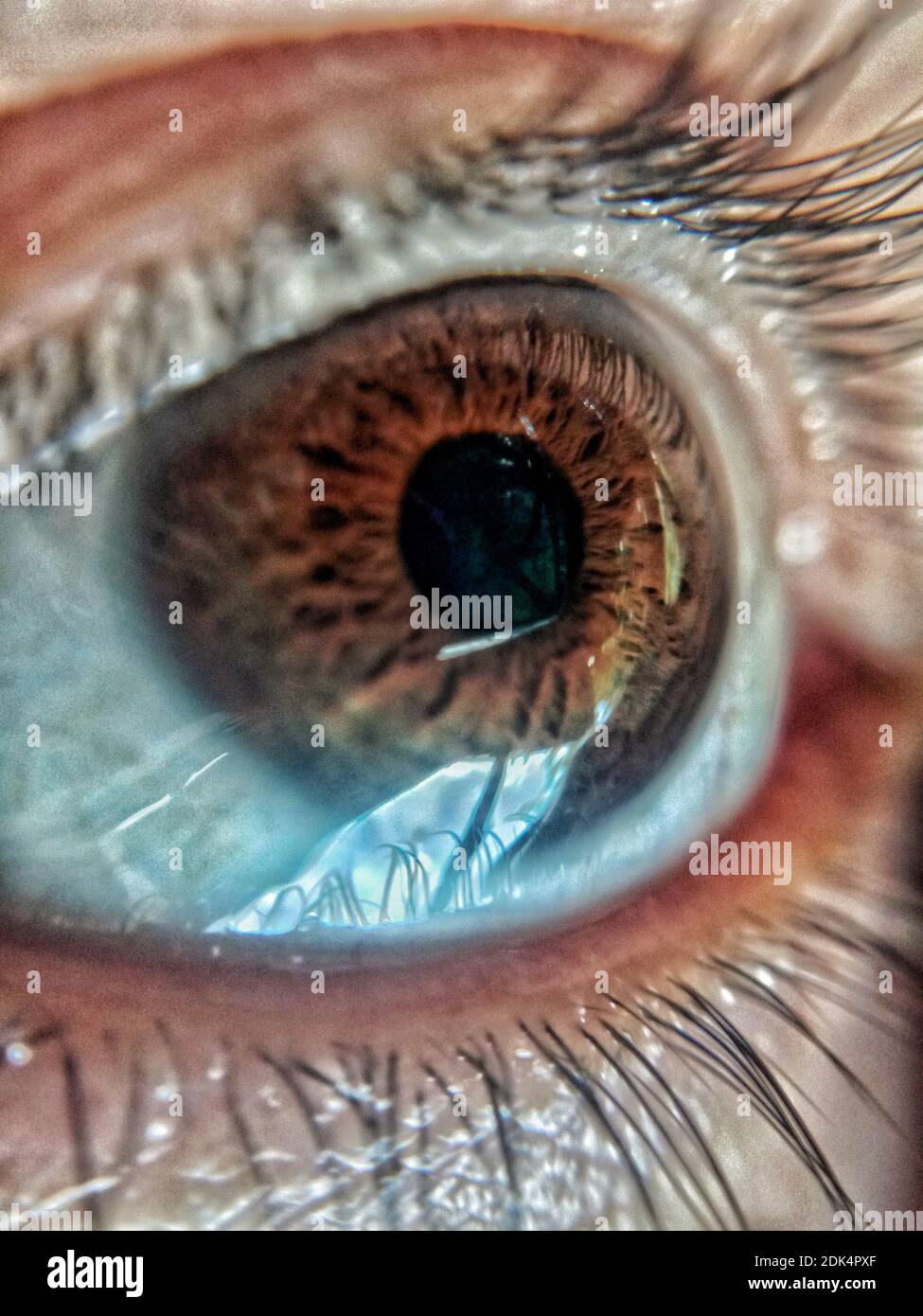 Extreme close up hazel eyes hi-res stock photography and images - Alamy