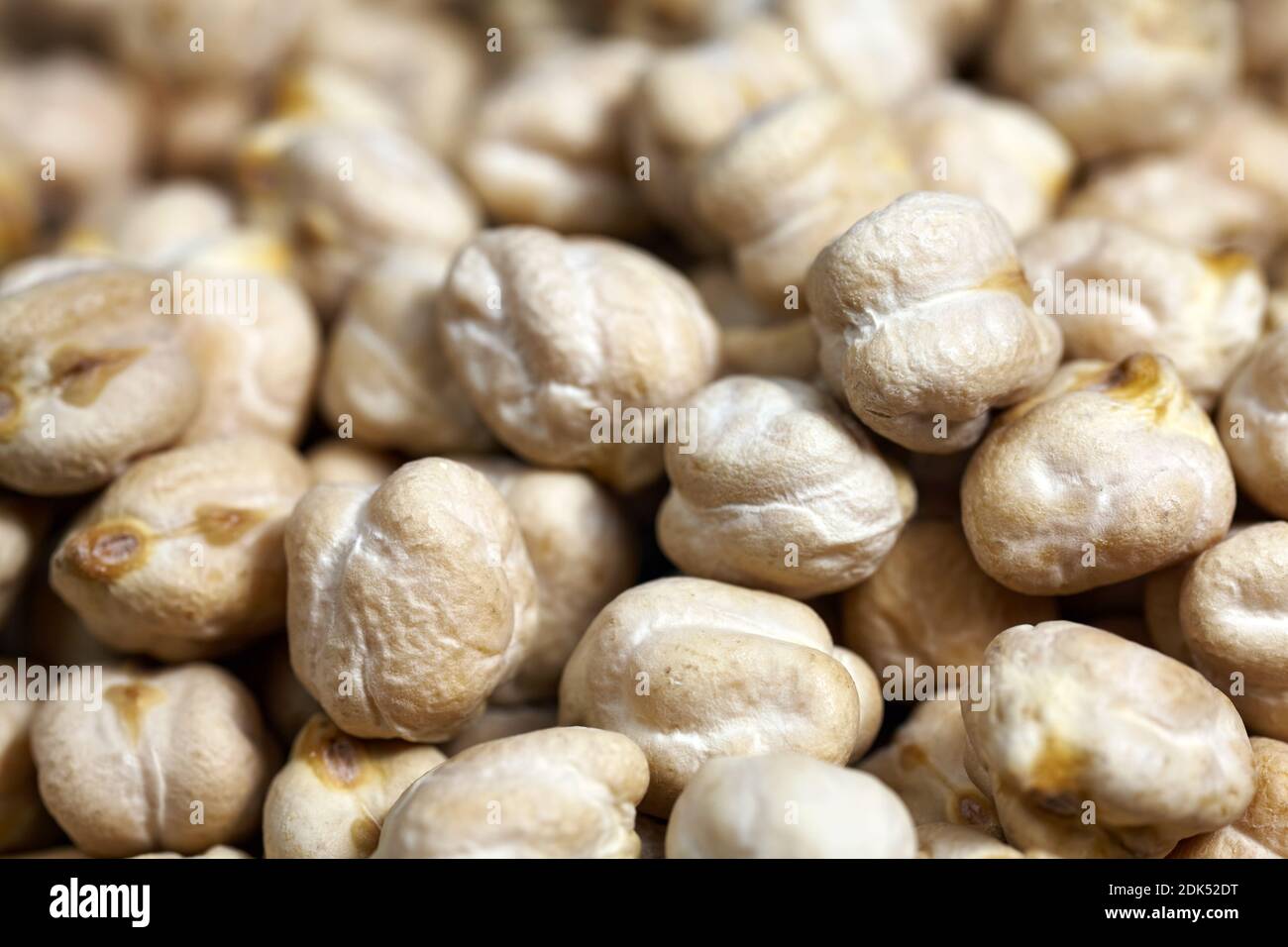 Close up picture of chickpea, selective focus Stock Photo - Alamy