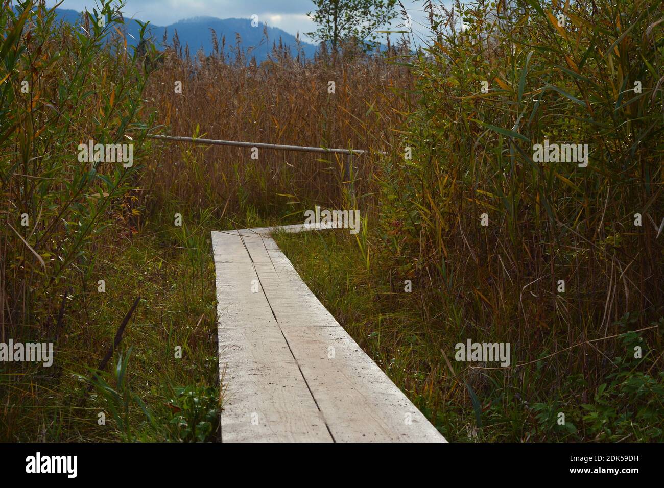A closeup of the road with beautiful landscapes around it Stock Photo ...