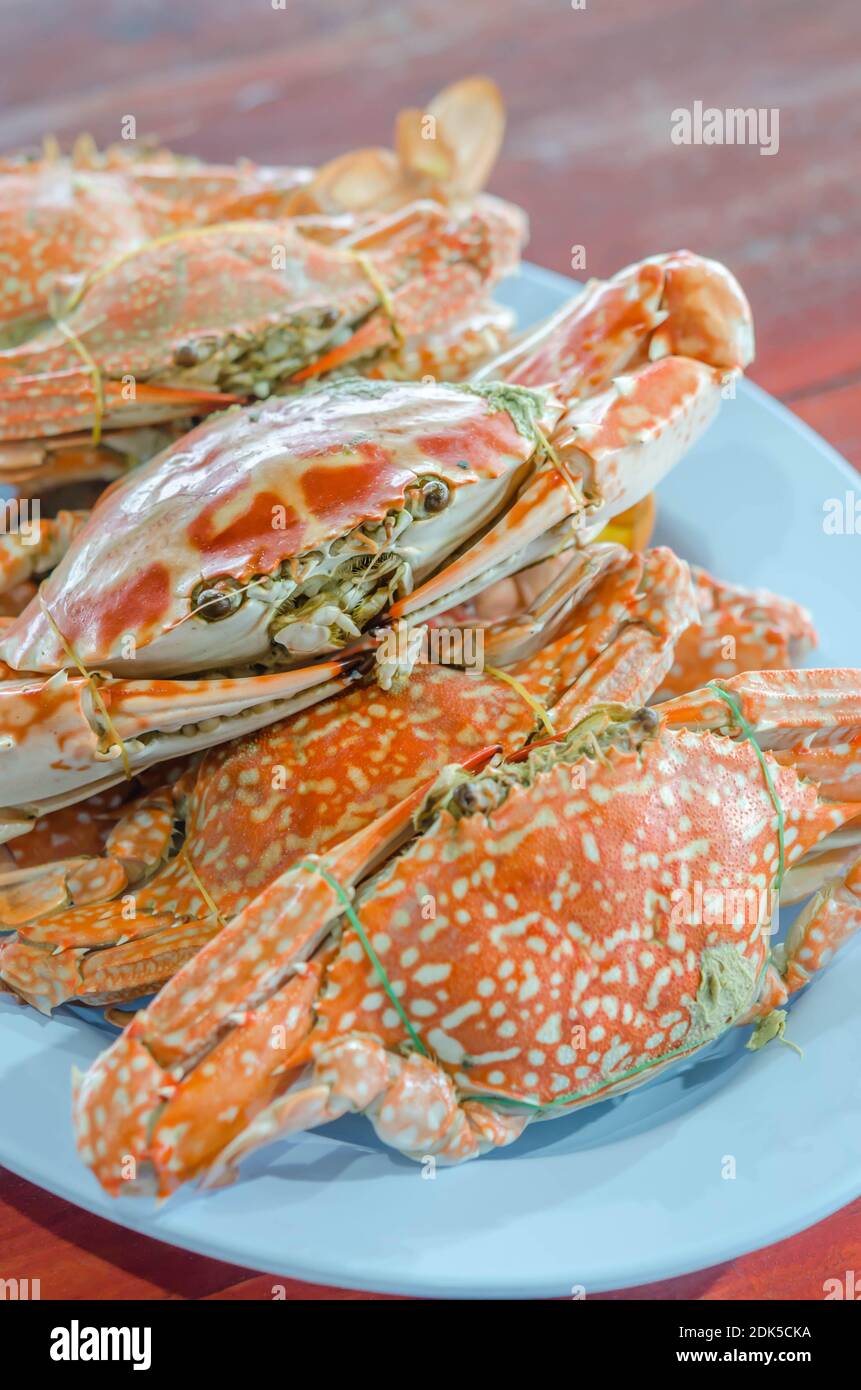 Blue Manna Crab High Resolution Stock Photography and Images - Alamy