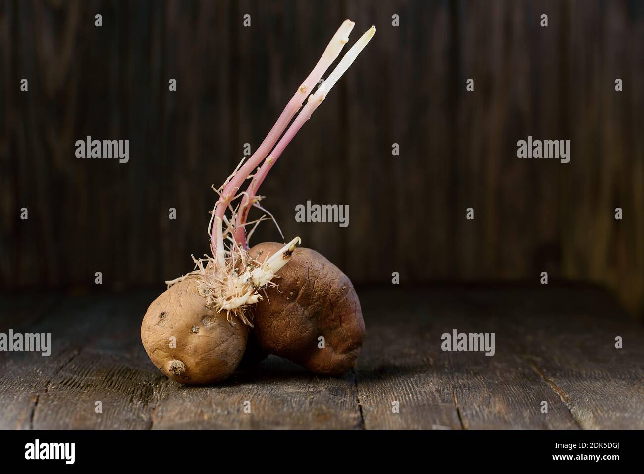Flabby potato hi-res stock photography and images - Alamy