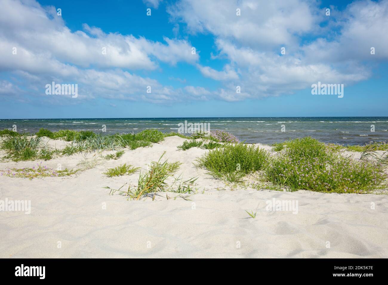 Germany, Mecklenburg-Western Pomerania, Baltic Sea island Poel, natural ...