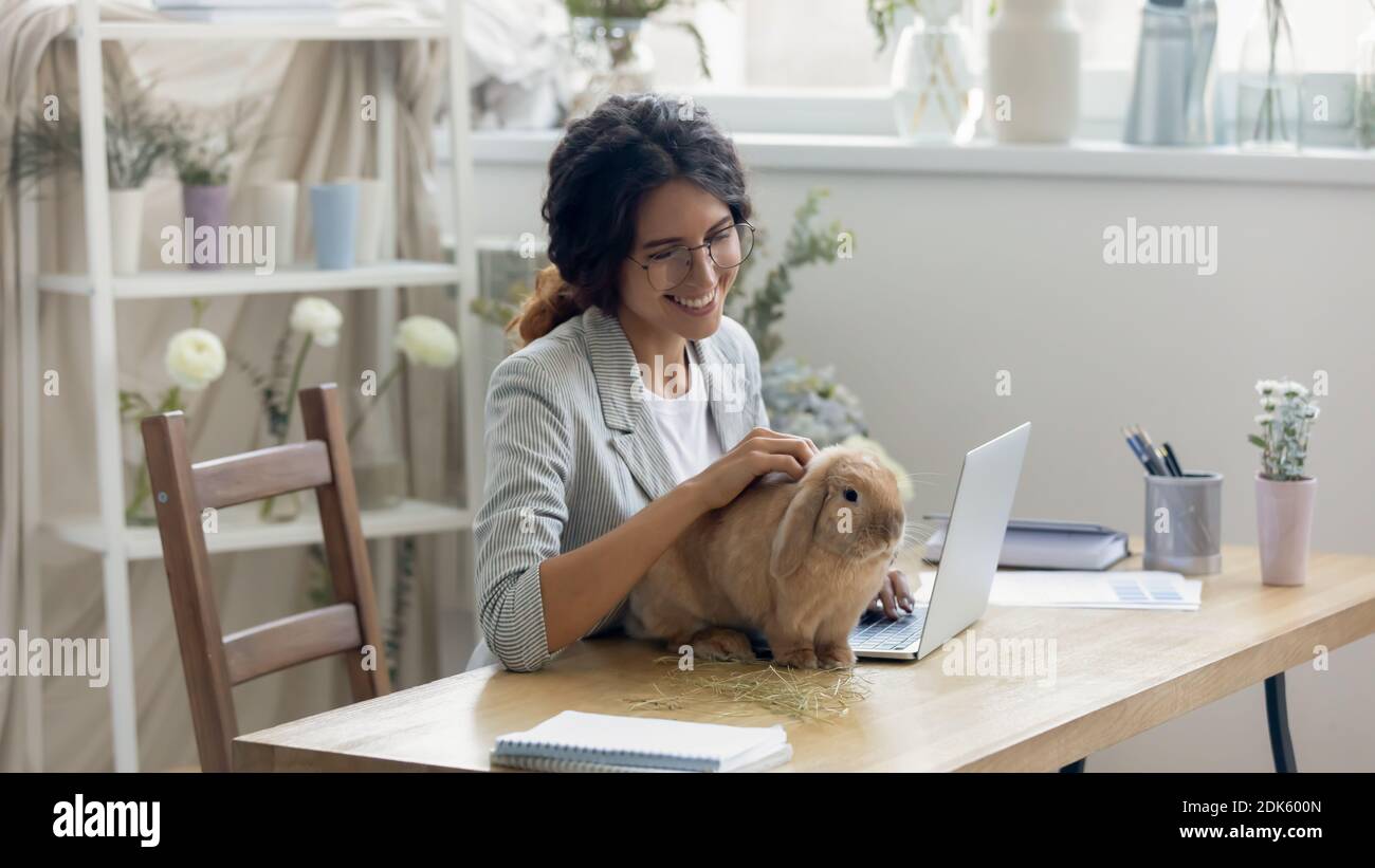 Smiling young woman taking break at work playing with rabbit Stock ...