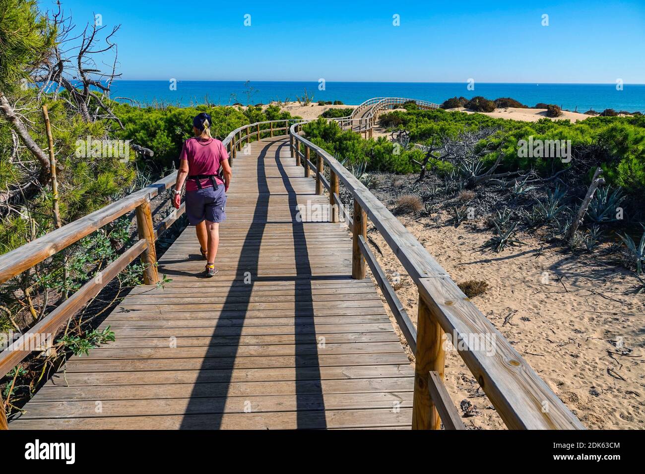 Wooden walkway, boardwalk to the beach resort of La Mata, Torrevieja ...