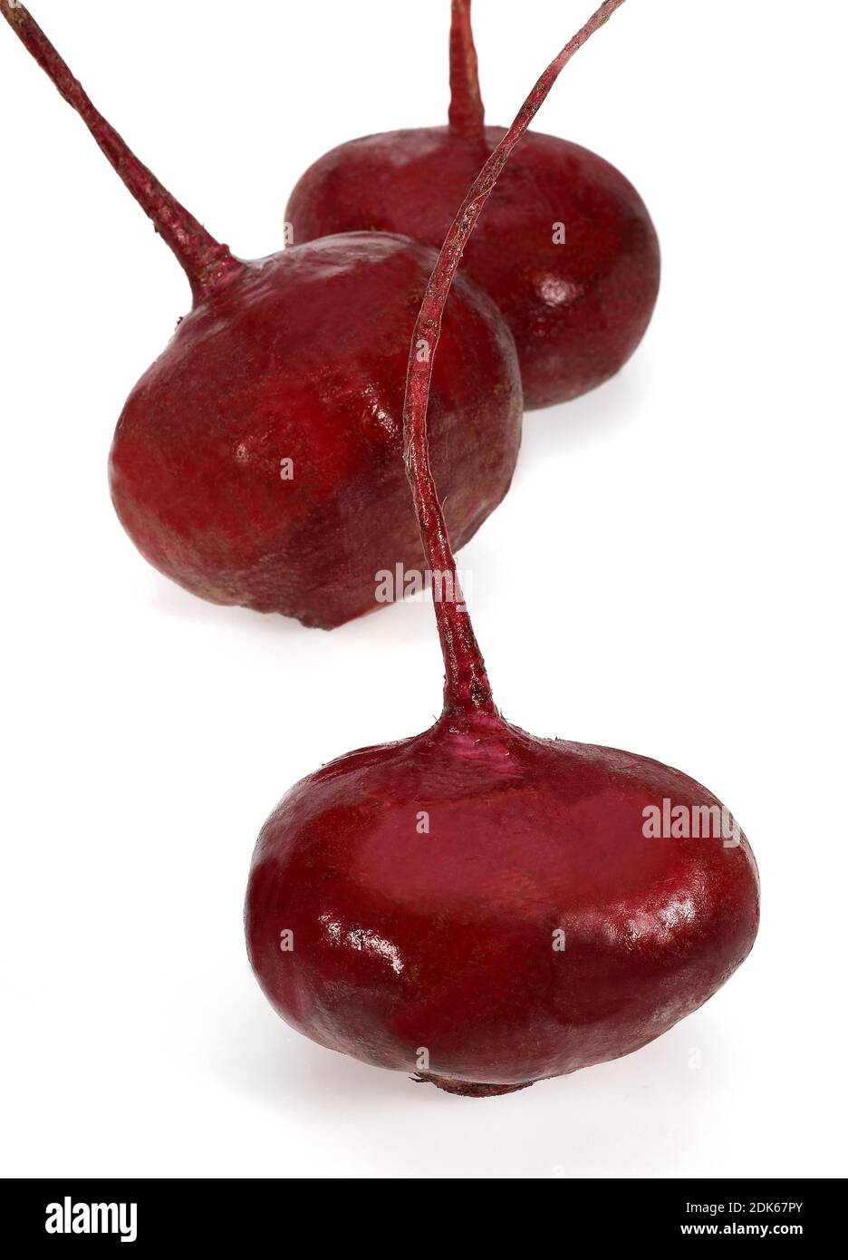 Beta rubra hi-res stock photography and images - Alamy