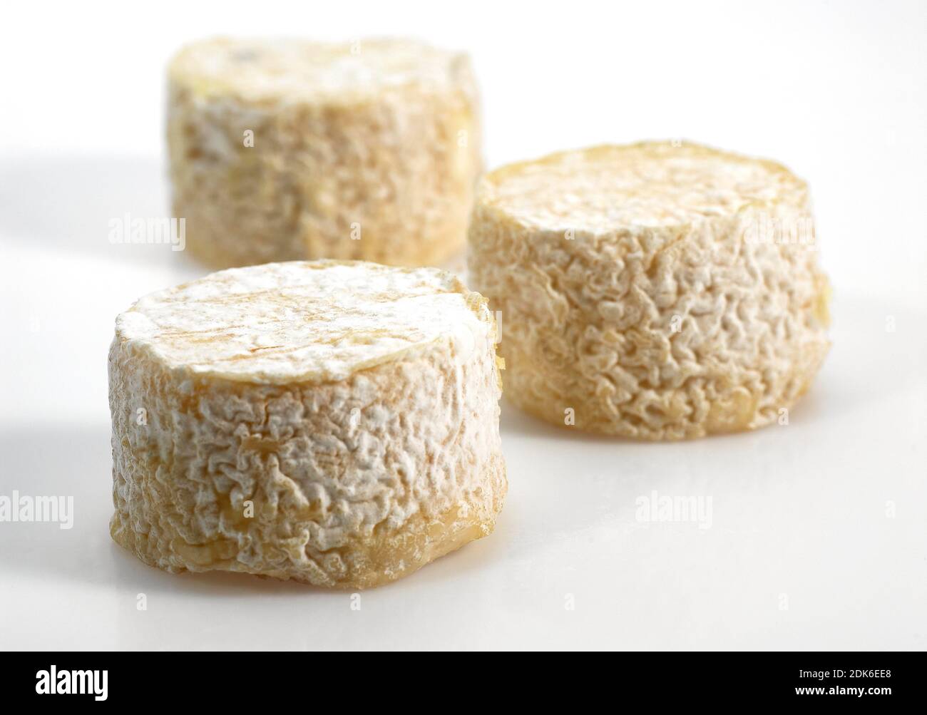 French Crottin Goat Cheese against White Background Stock Photo - Alamy