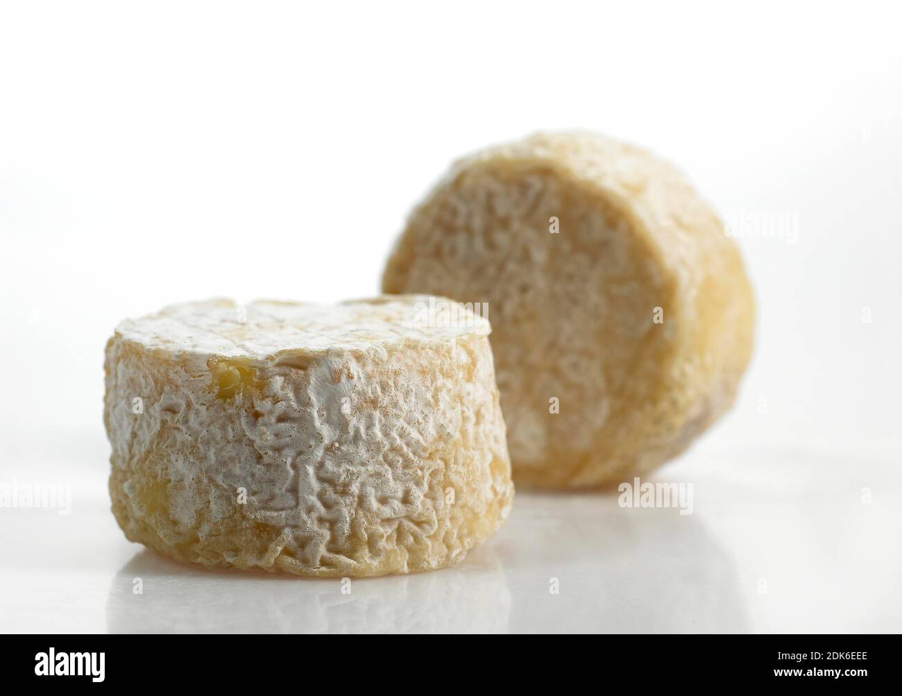 French Crottin Goat Cheese against White Background Stock Photo - Alamy