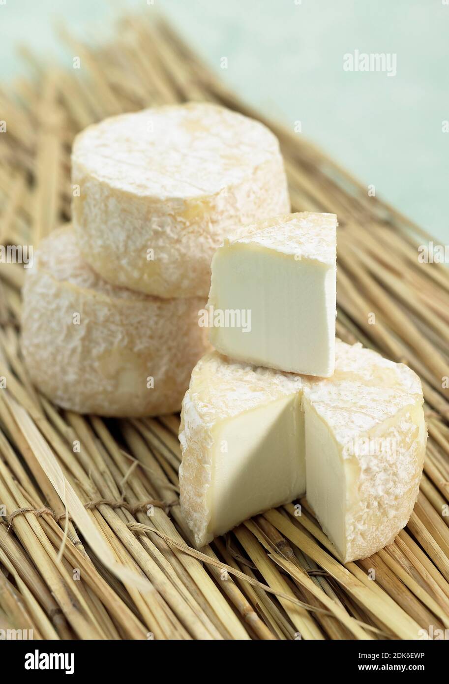 French Crottin Goat Cheese Stock Photo - Alamy