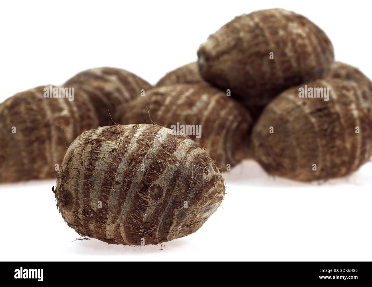 Eddo, Tuber of the Dasheen Plant, colocasia esculenta Stock Photo - Alamy