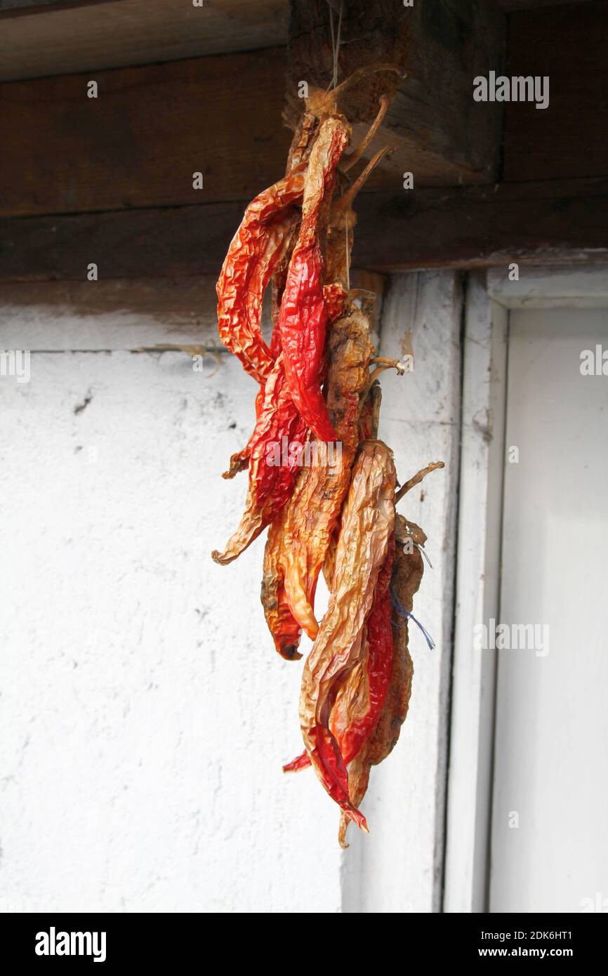 dried red peppers hung on the wall Stock Photo - Alamy