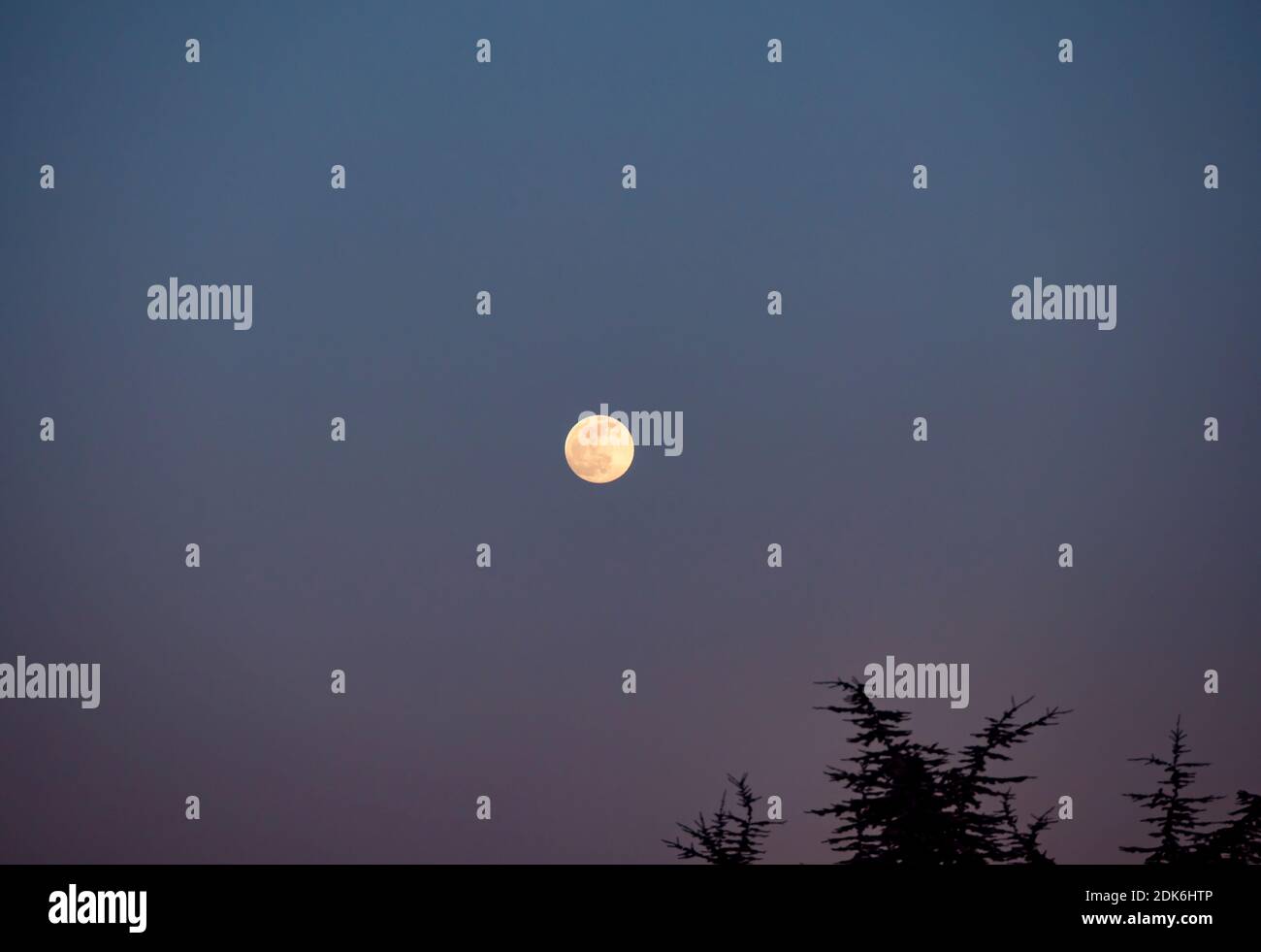 Big full moon hi-res stock photography and images - Alamy