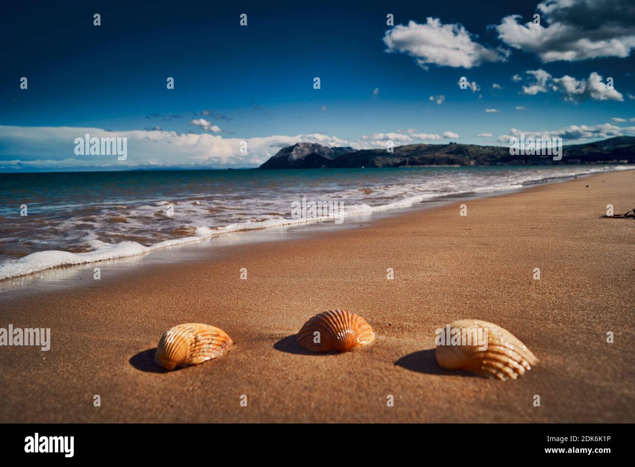 Best Of Laredo High Resolution Stock Photography and Images - Alamy