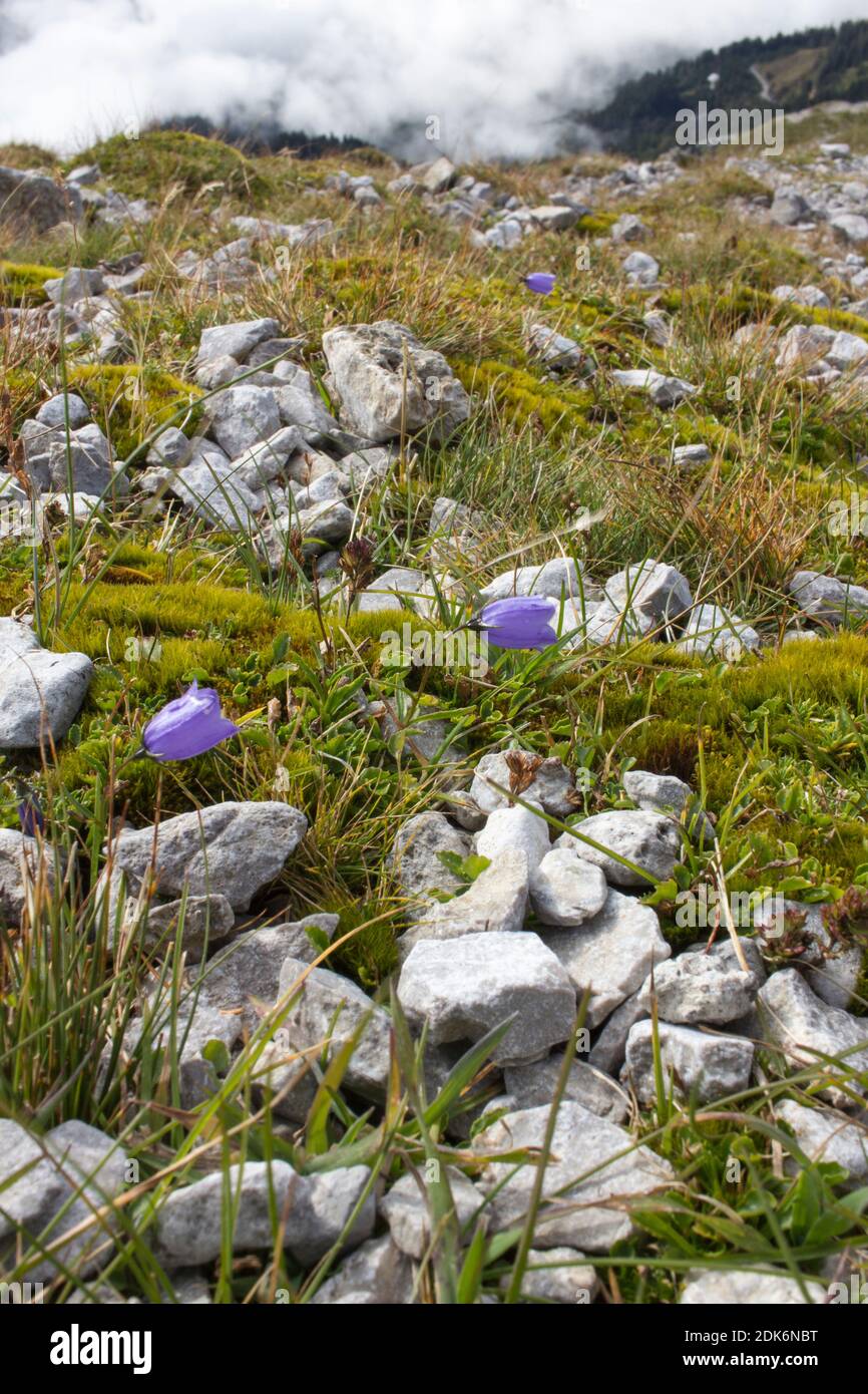Perspectives from the Hafelekar on the Nordkette above Innsbruck Stock ...