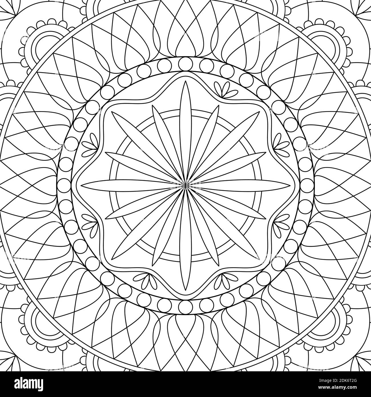 Floral symmetrical coloring antistress. Ethnic drawing, mandala. Linear ...