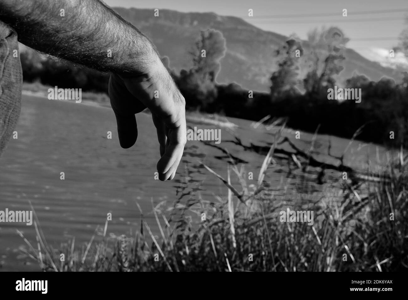 Human hand touching grass Black and White Stock Photos & Images - Alamy