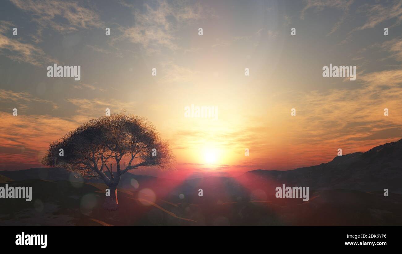 sunset at meadow and lonely tree, 3d render illustration Stock Photo ...