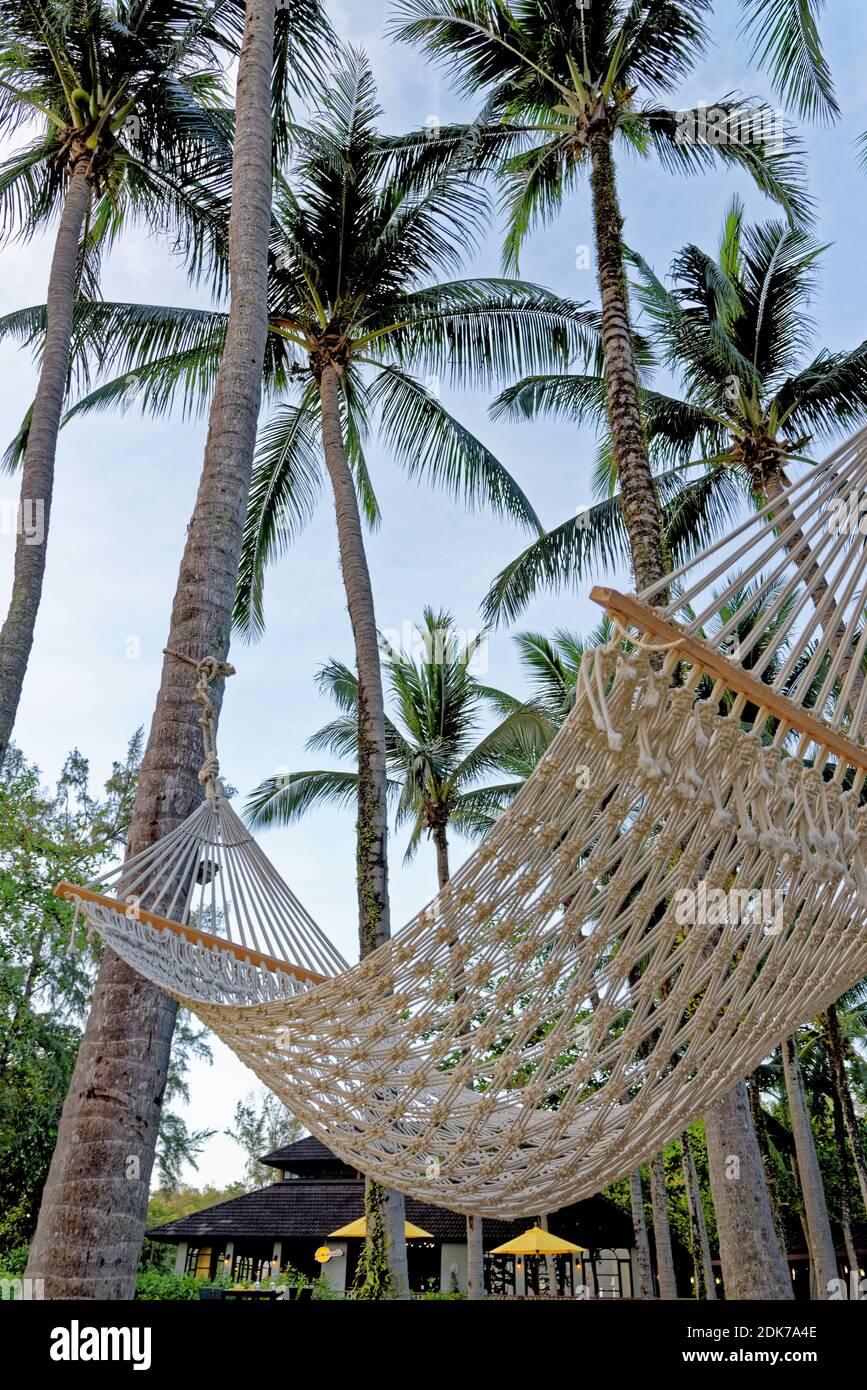 A relaxing rope hammock tied between two palm trees - Thailand - Travel ...