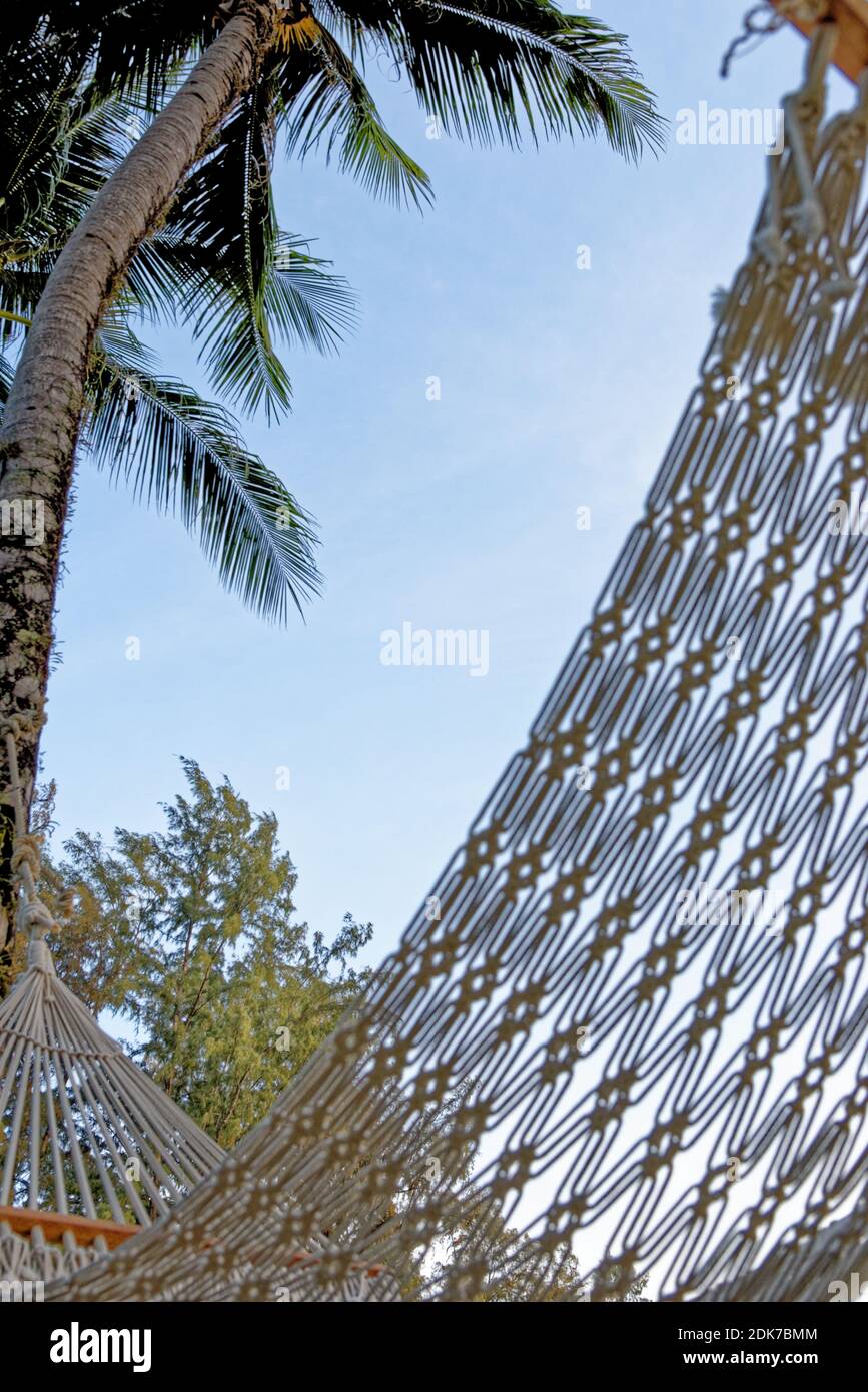 A relaxing rope hammock tied between two palm trees - Thailand - Travel ...