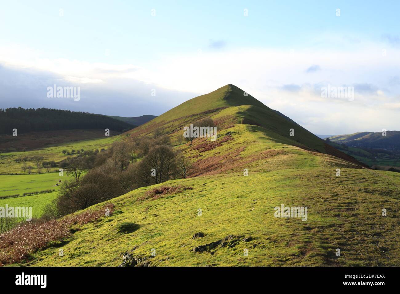 The Lawley, one of the Shropshire hills, England, UK Stock Photo - Alamy