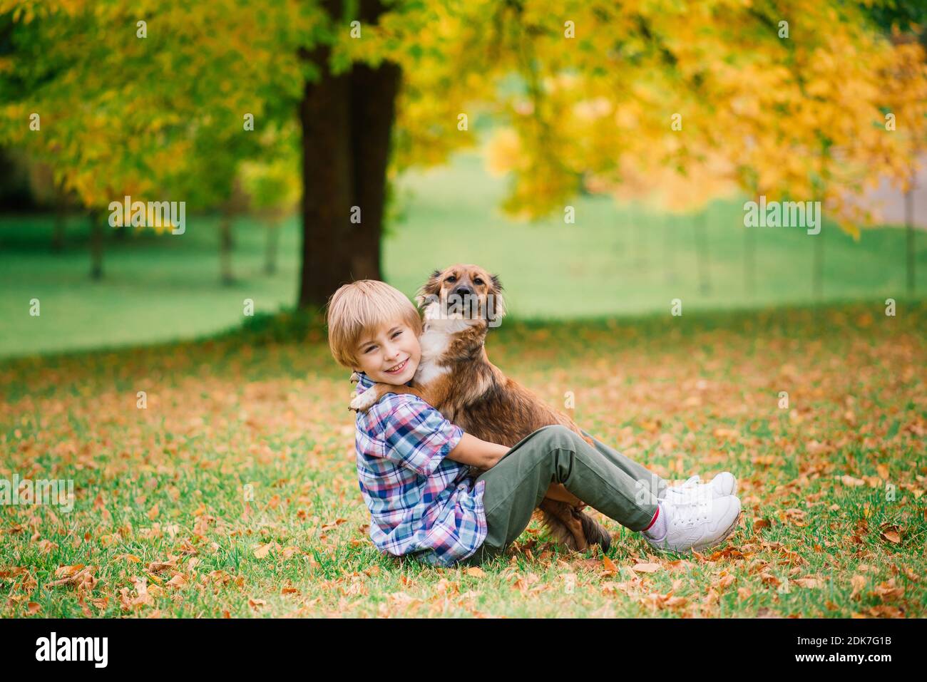 Boy hugging a dog and playing with in the fall, city park Stock Photo ...
