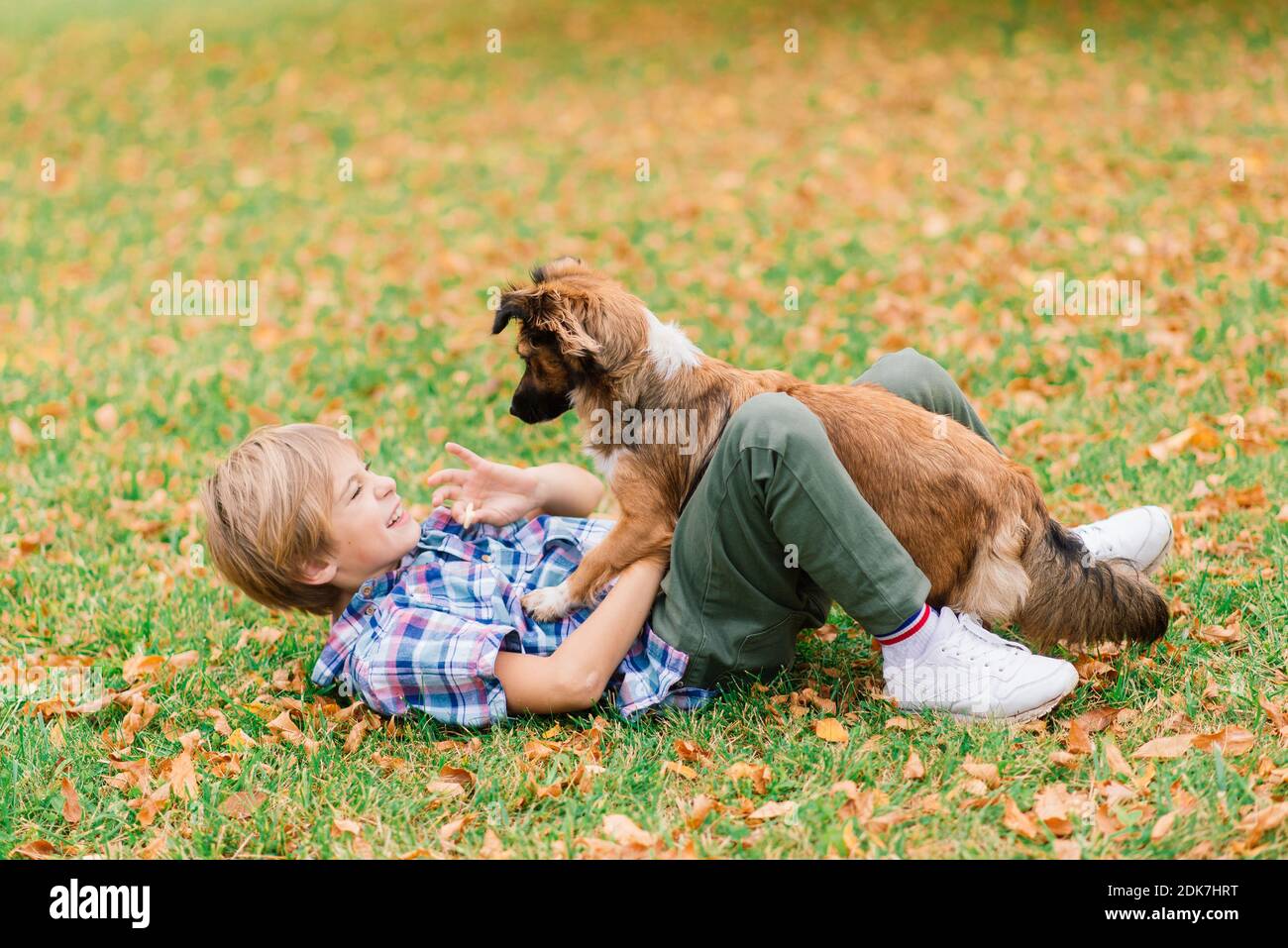 Boy hugging a dog and playing with in the fall, city park Stock Photo ...